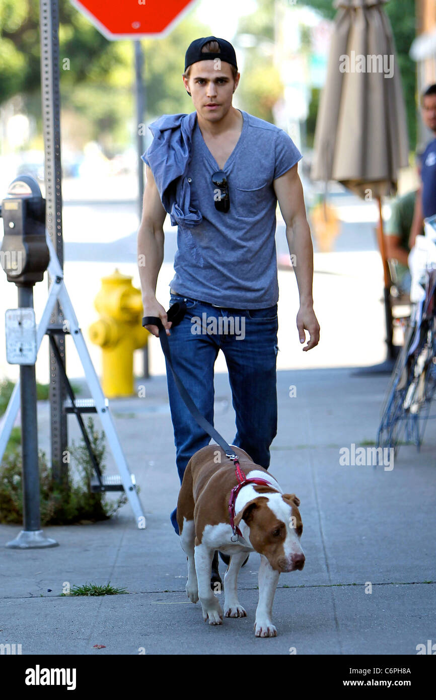 Vampire diaries star paul wesley hi-res stock photography and images ...