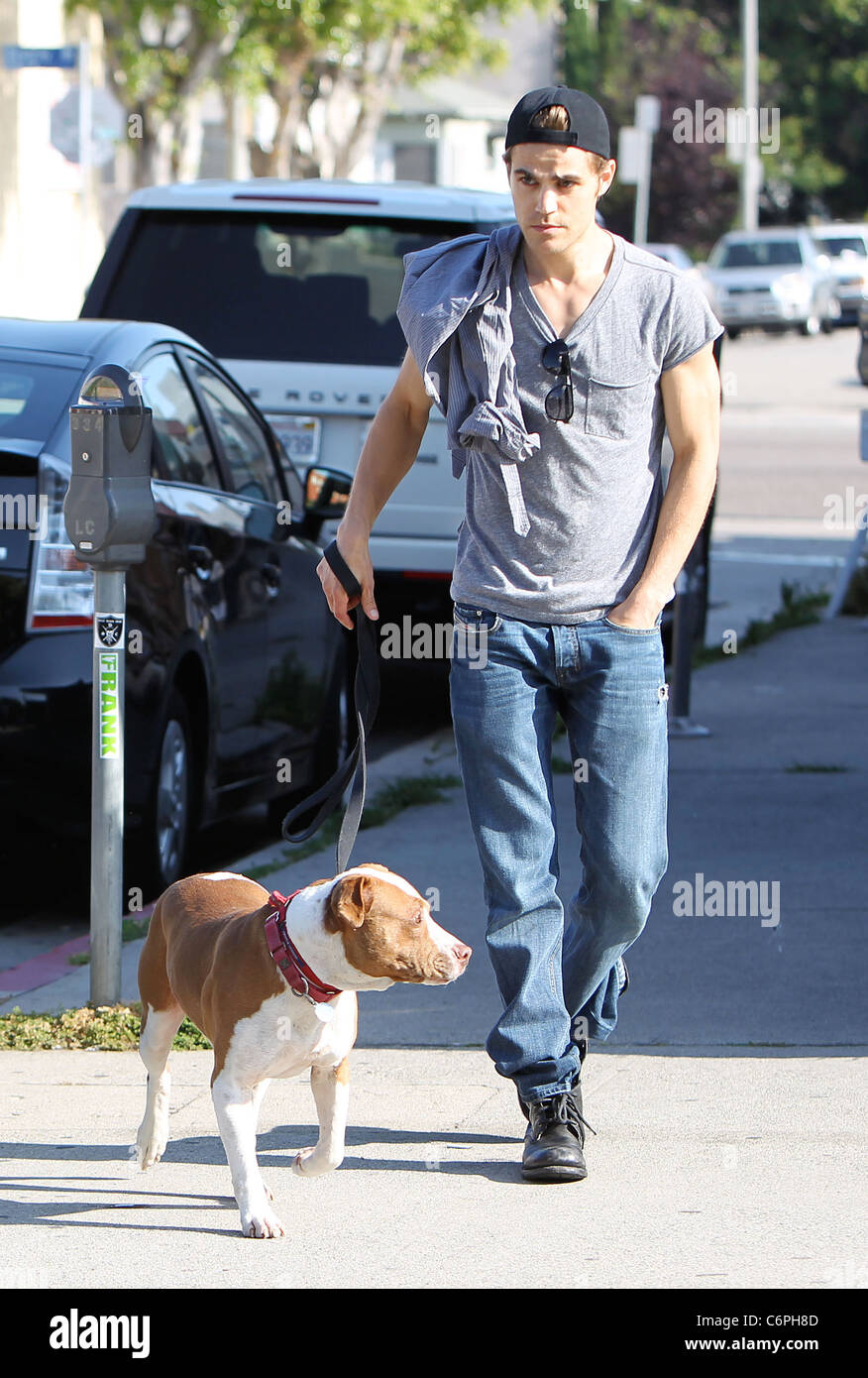 Vampire Diaries star Paul Wesley heads to Kings Road Cafe in West ...