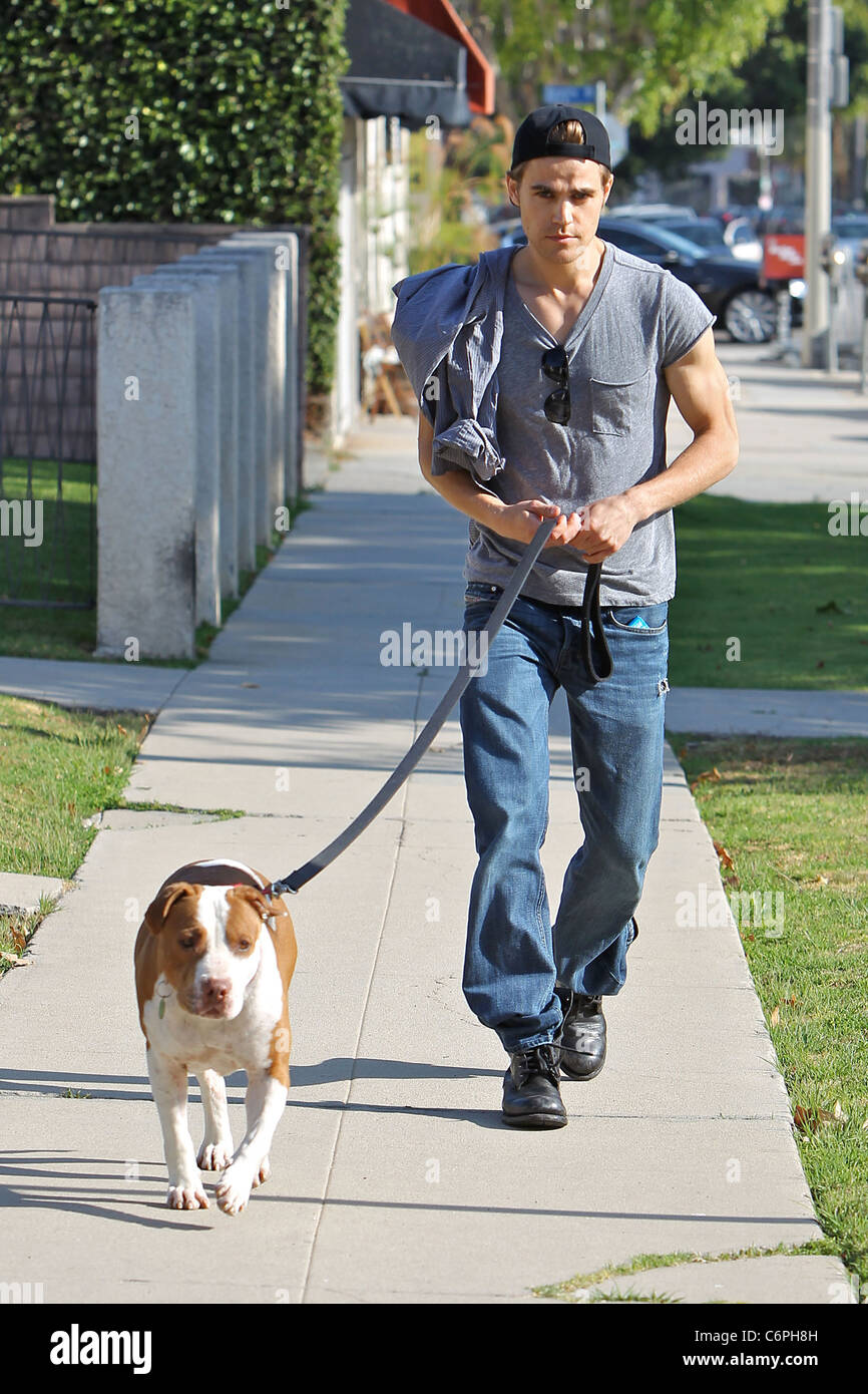 Vampire diaries star paul wesley hi-res stock photography and images ...