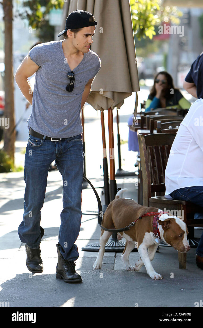 Vampire Diaries star Paul Wesley heads to Kings Road Cafe in West ...