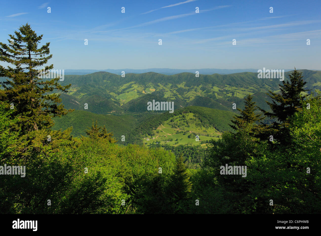 View to East, Peak of Spruce Knob, Judy Gap, West Virginia, USA Stock ...