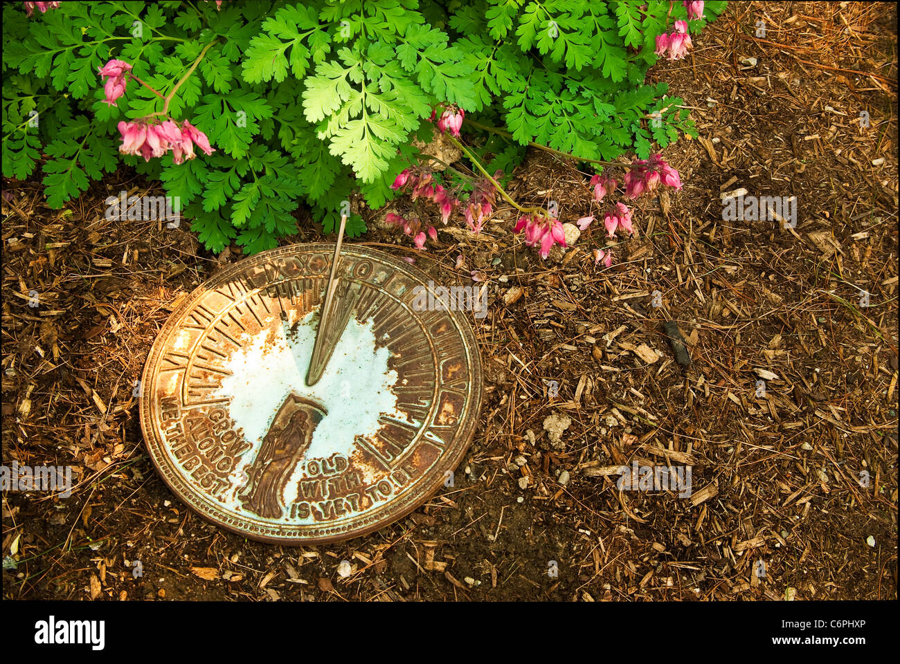 Pink bark mulch hi-res stock photography and images - Alamy