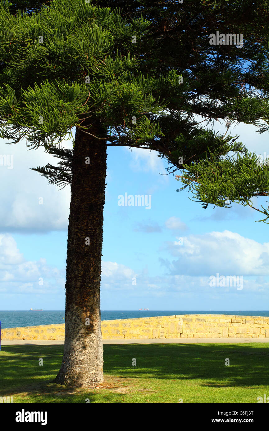 Perth Coastline, Western Australia Stock Photo - Alamy
