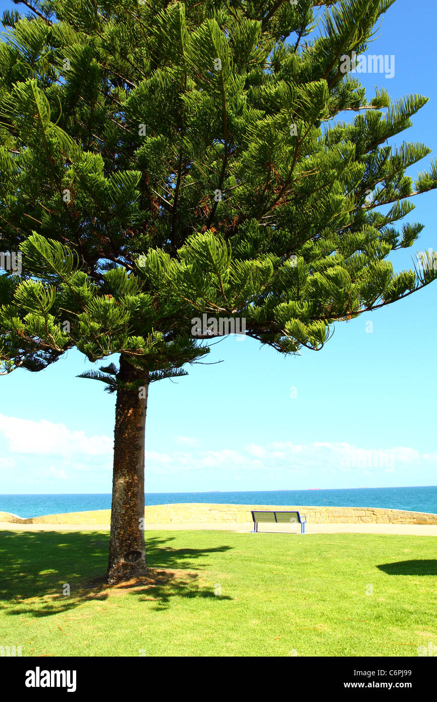 Perth coastline hi-res stock photography and images - Alamy