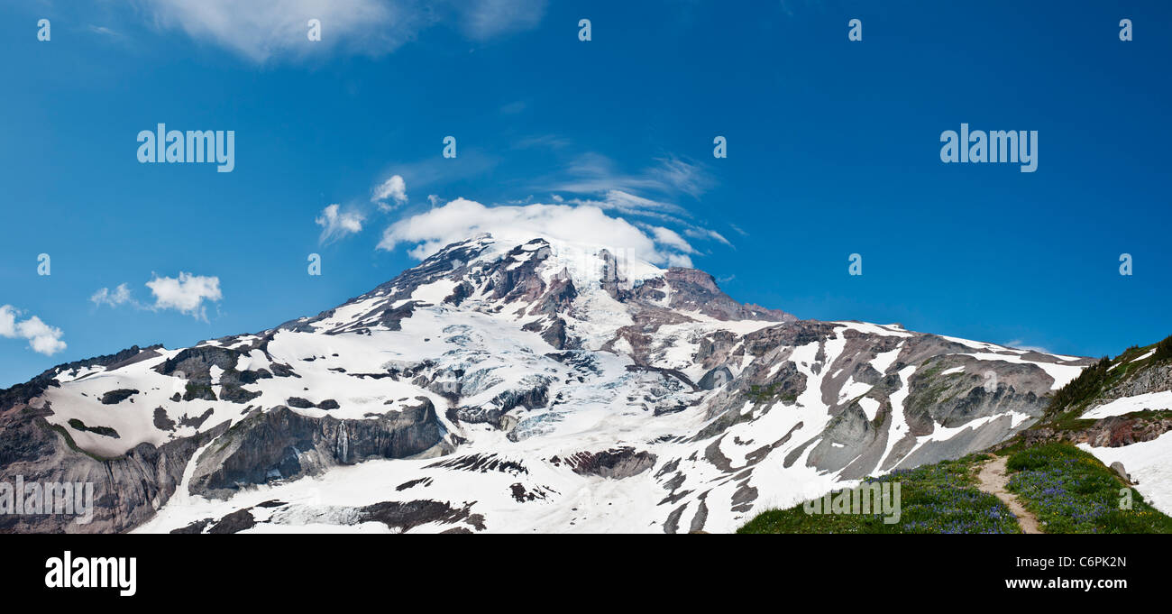 Mount Rainier from near Paradise in summer, Mt Rainier national park ...