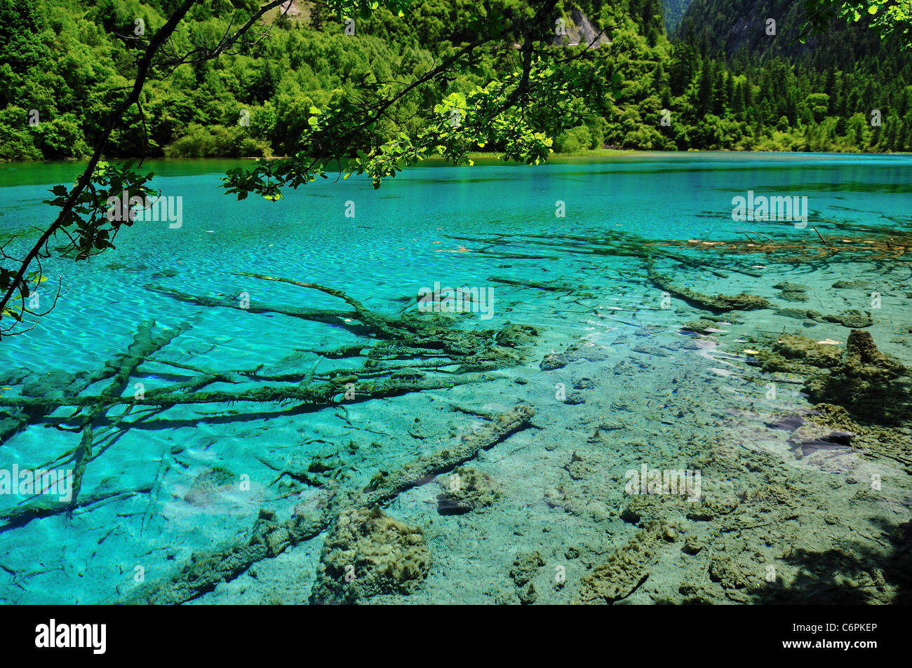 Turquoise blue water in a lake in Jiuzhaigou Nature Reserve, an UNESCO ...