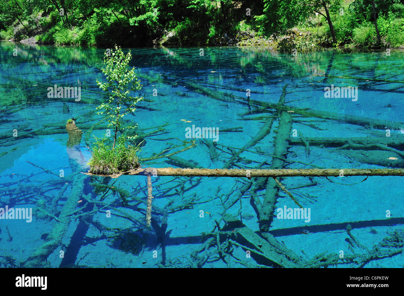 A lake with turquoise blue water in Jiuzhaigou Nature Reserve, an ...
