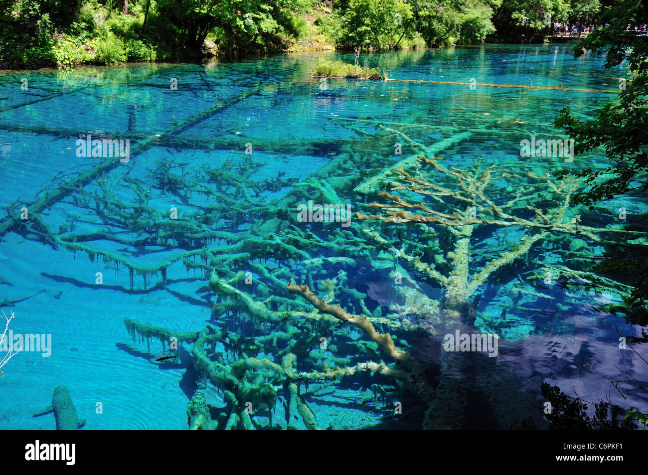 Turquoise blue water at the Peacock River in Jiuzhaigou Nature Reserve ...