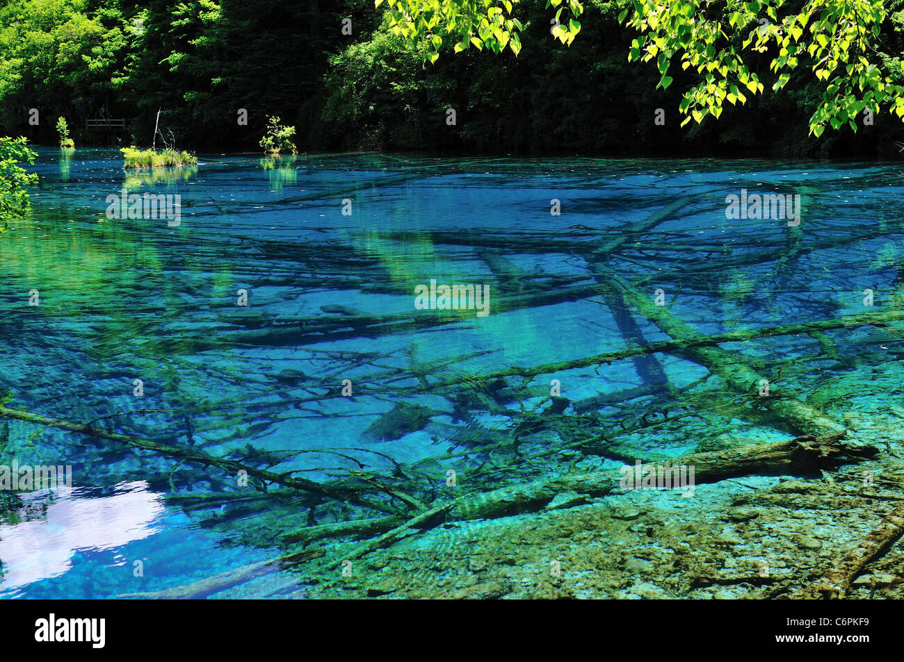 Turquoise blue water in the Peacock River in Jiuzhaigou Nature Reserve ...