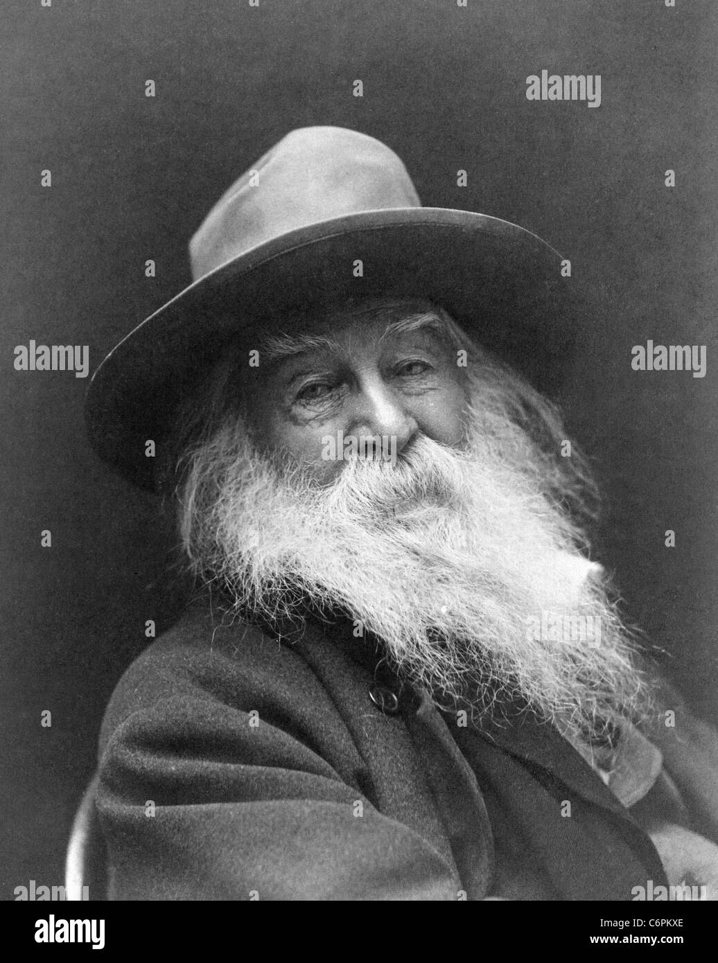 Leaves of grass walt whitman hi-res stock photography and images - Alamy