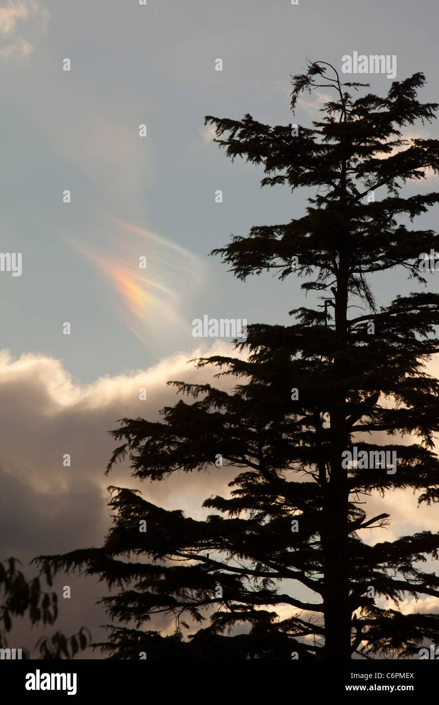 Refracting sunlight hi-res stock photography and images - Alamy