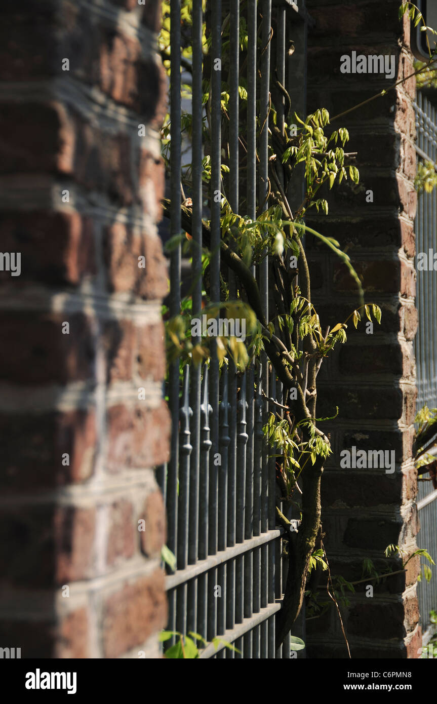 Park metal fence Stock Photo - Alamy