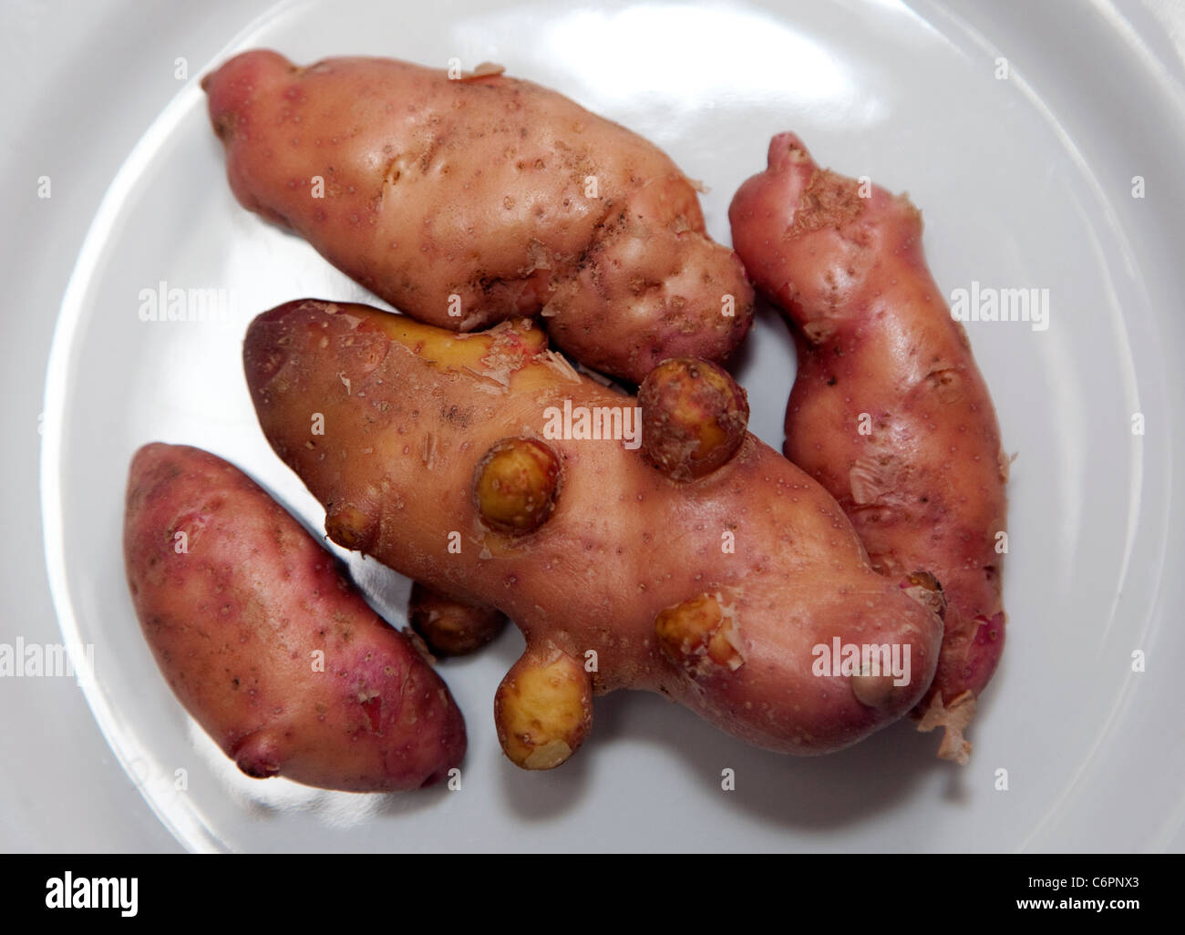 Rare potato variety hi-res stock photography and images - Alamy