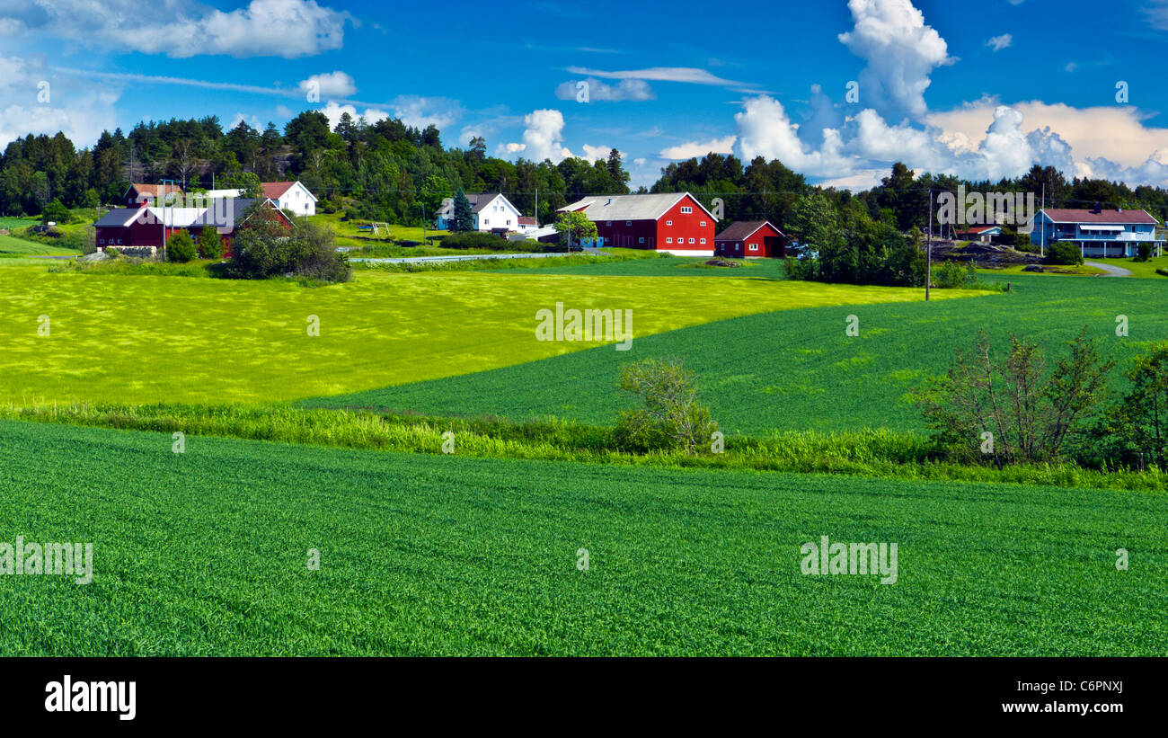 Norway Crops Agriculture High Resolution Stock Photography and Images ...