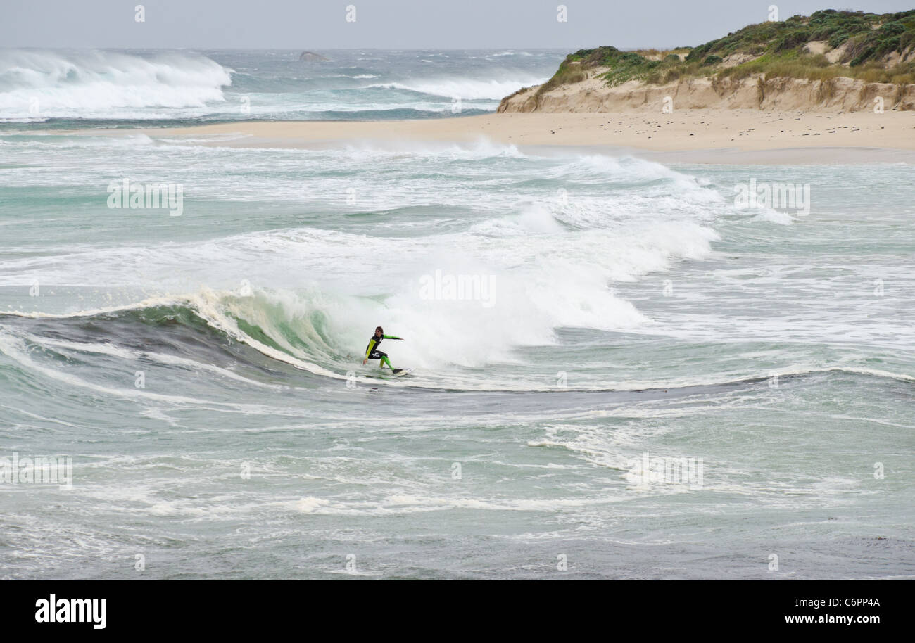 Surfers at Prevelly beach, Margaret River, Western Australia Stock ...