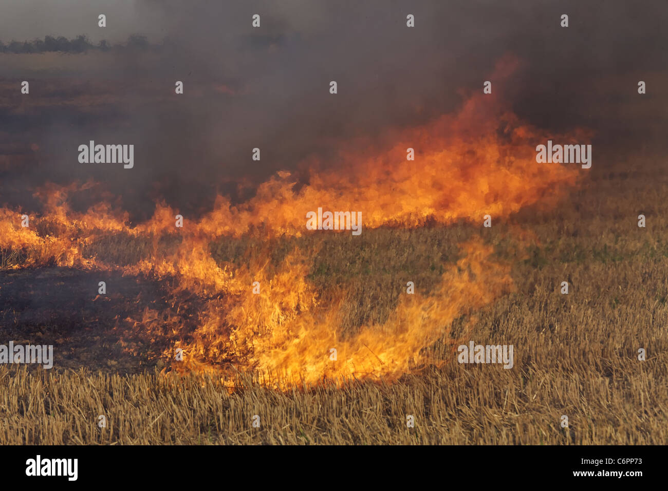 fire in the field of wheat stubble Stock Photo - Alamy