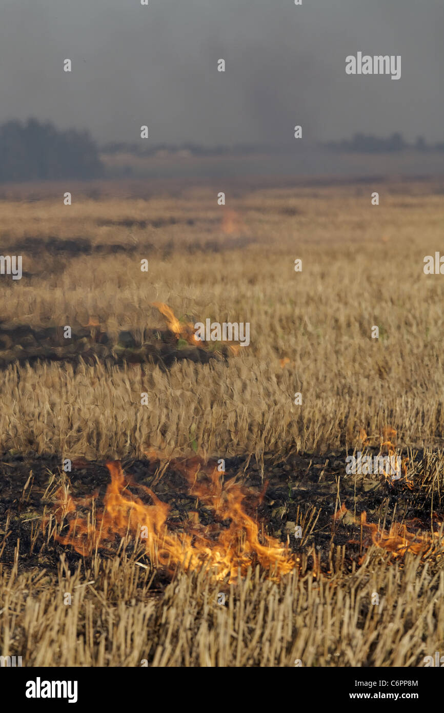 Wildfire burn field terrain hi-res stock photography and images - Alamy