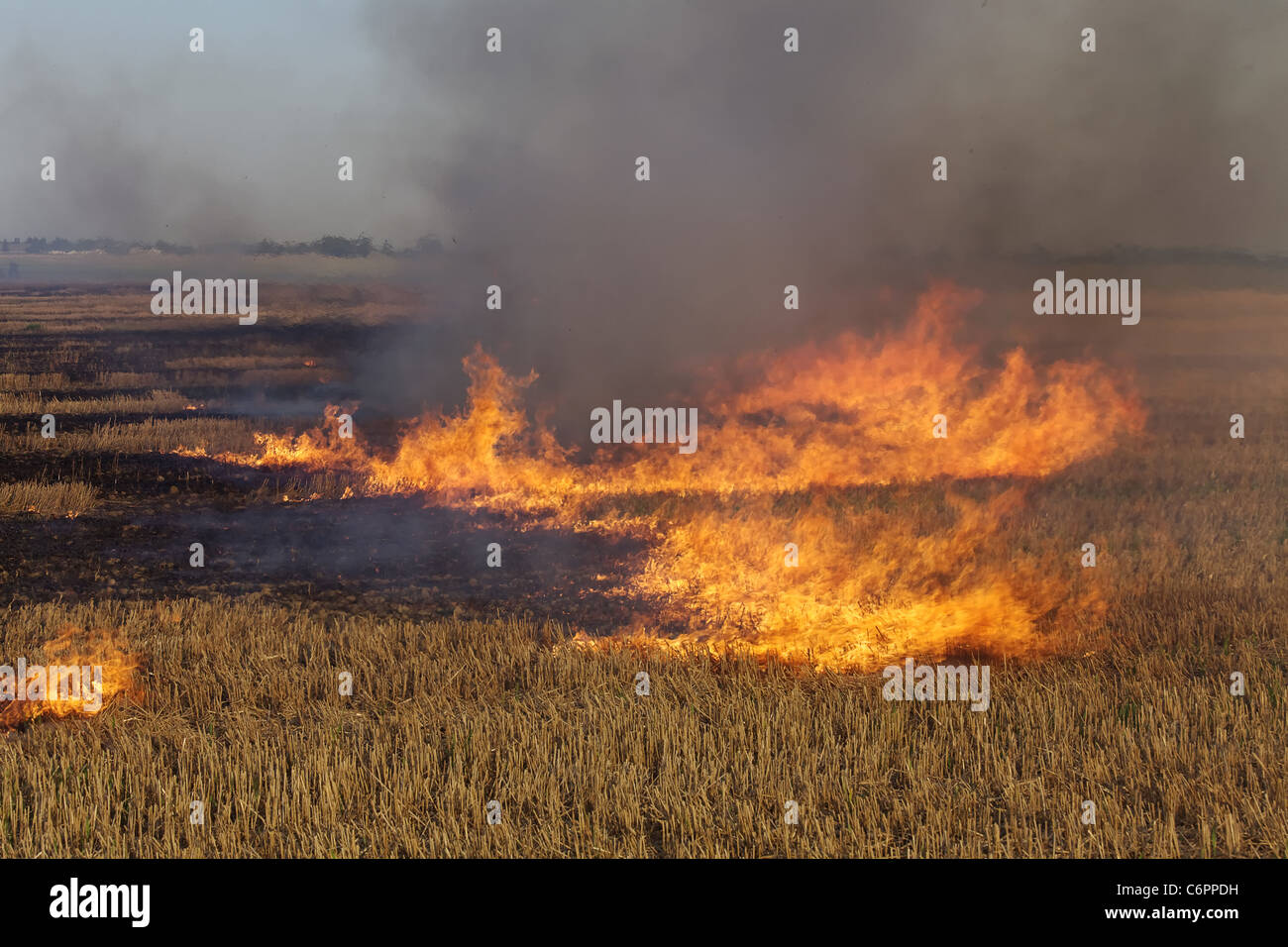 fire in the field of wheat stubble Stock Photo - Alamy
