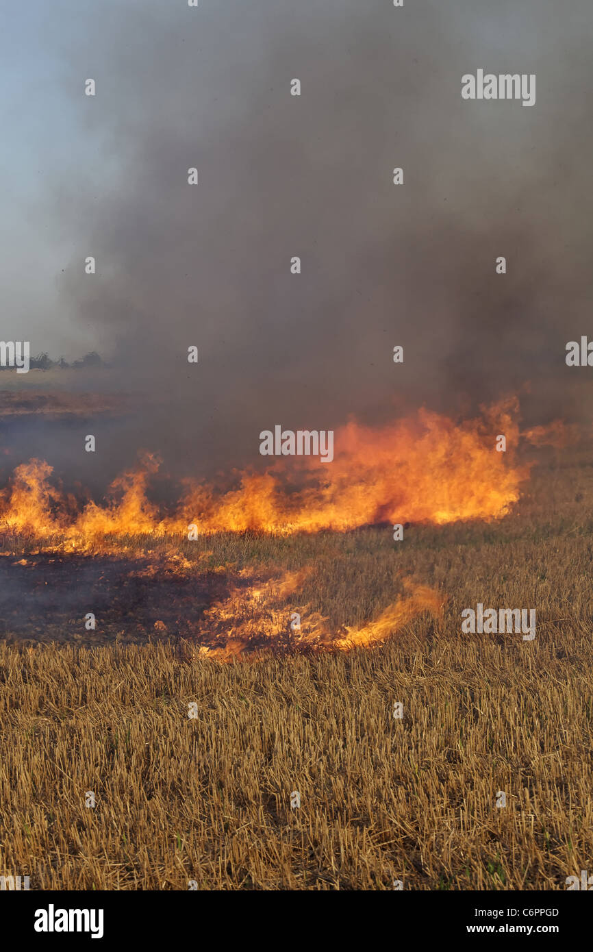 fire in the field of wheat stubble Stock Photo - Alamy