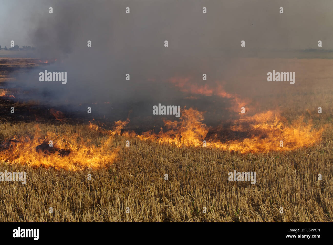 fire in the field of wheat stubble Stock Photo - Alamy