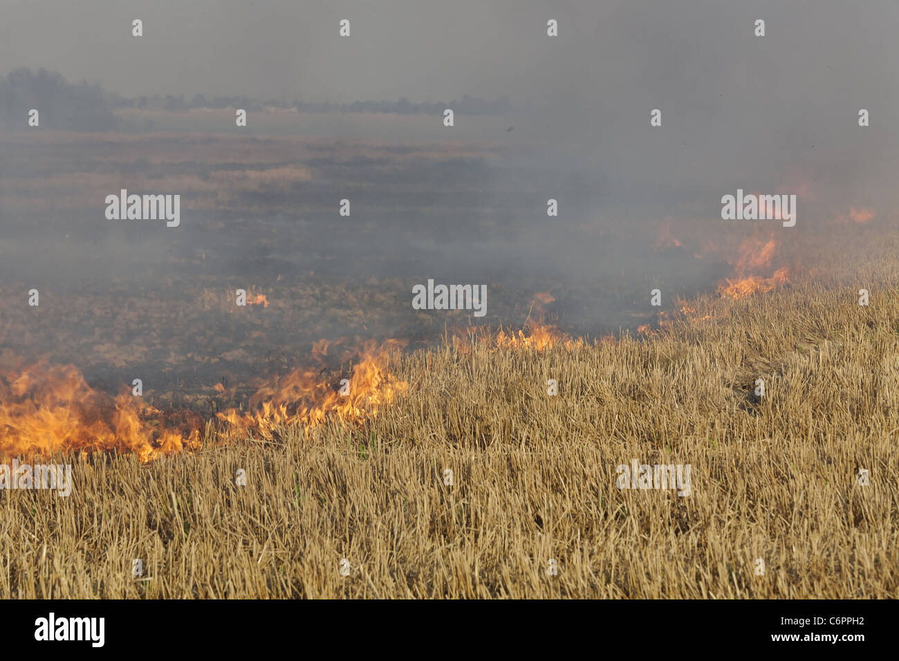 Burning wheat stubble hi-res stock photography and images - Alamy