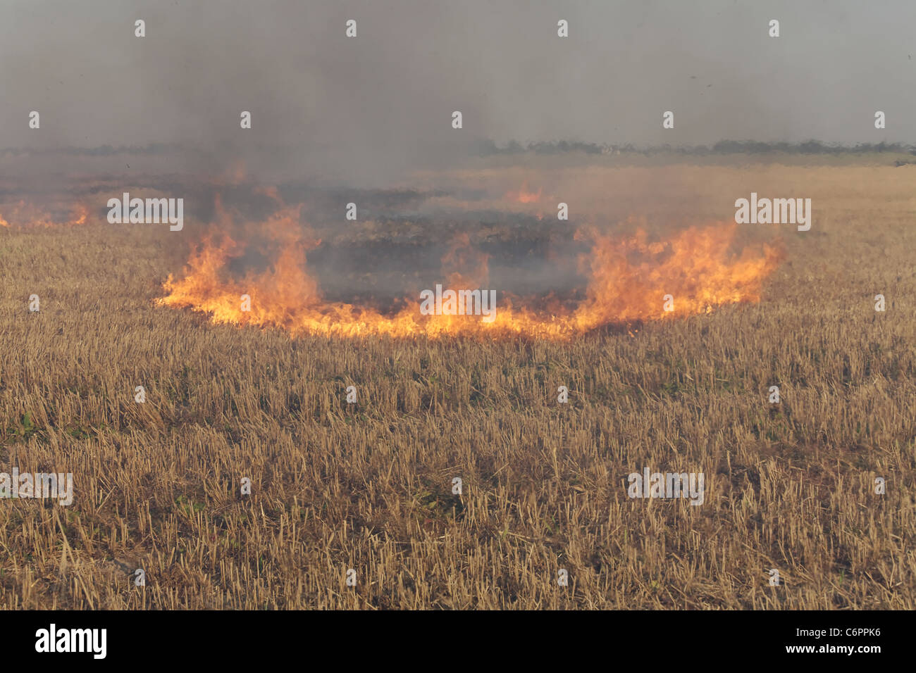 fire in the field of wheat stubble Stock Photo - Alamy