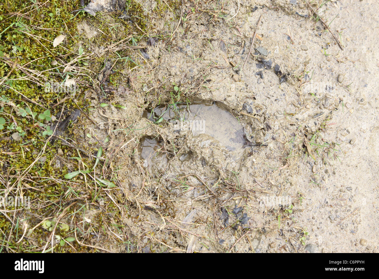 Bieszczady national park hi-res stock photography and images - Alamy