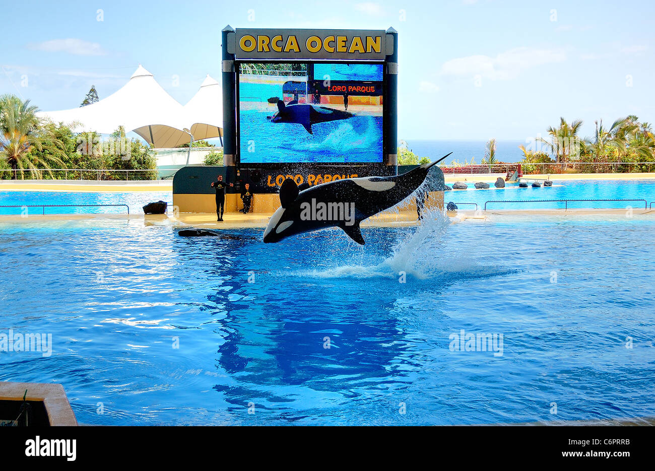 Loro parque entrance hi-res stock photography and images - Alamy