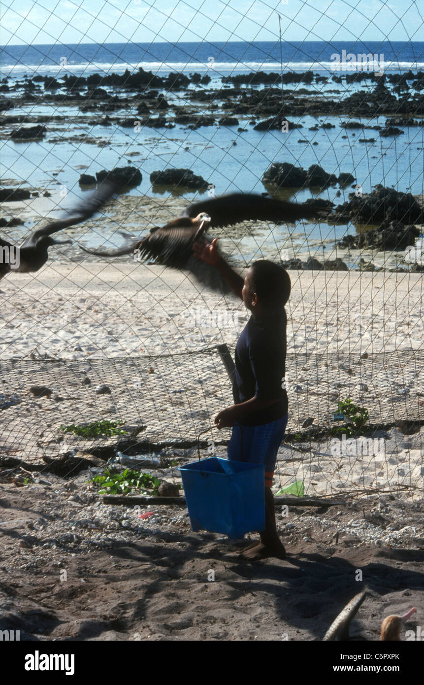 Nauruan Stock Photos & Nauruan Stock Images - Alamy