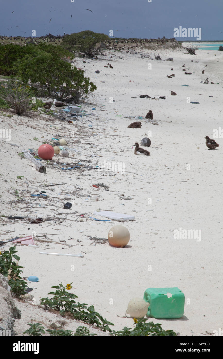 Plastic marine debris from the Pacific Garbage Patch washed ashore on ...