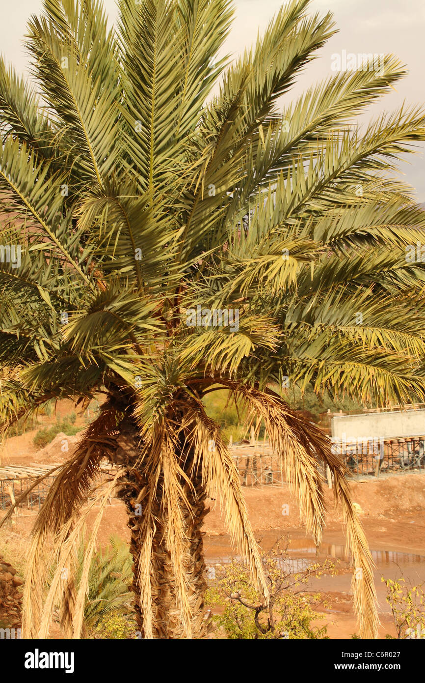 Ait Ben Haddu Marocco Stock Photo - Alamy