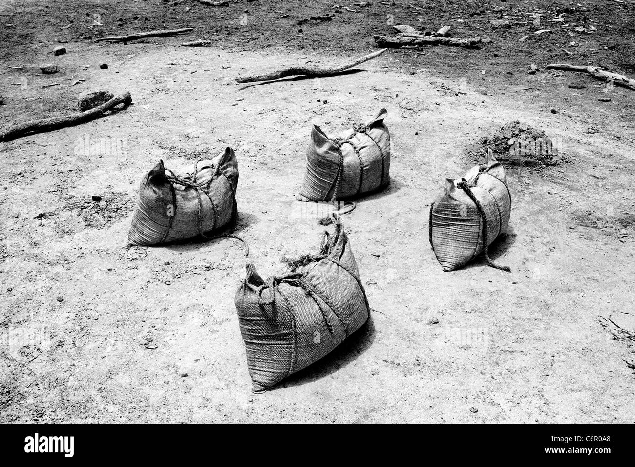 Salt extraction in the El Sod crater, Ethiopia Stock Photo - Alamy