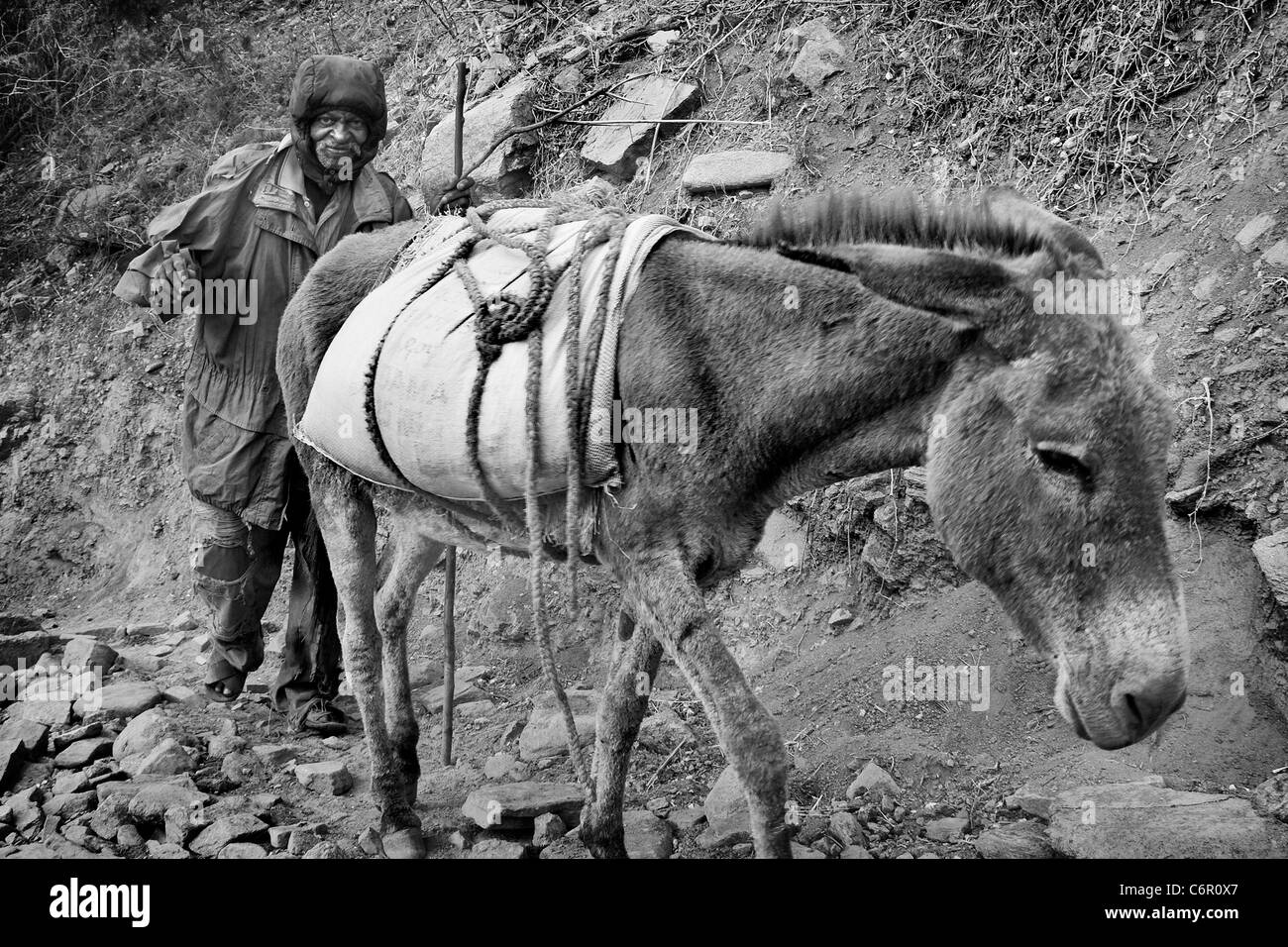 Salt extraction in el sod hi-res stock photography and images - Alamy
