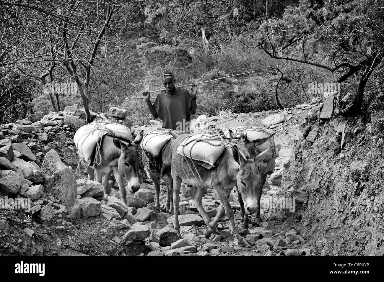 Salt extraction in el sod hi-res stock photography and images - Alamy