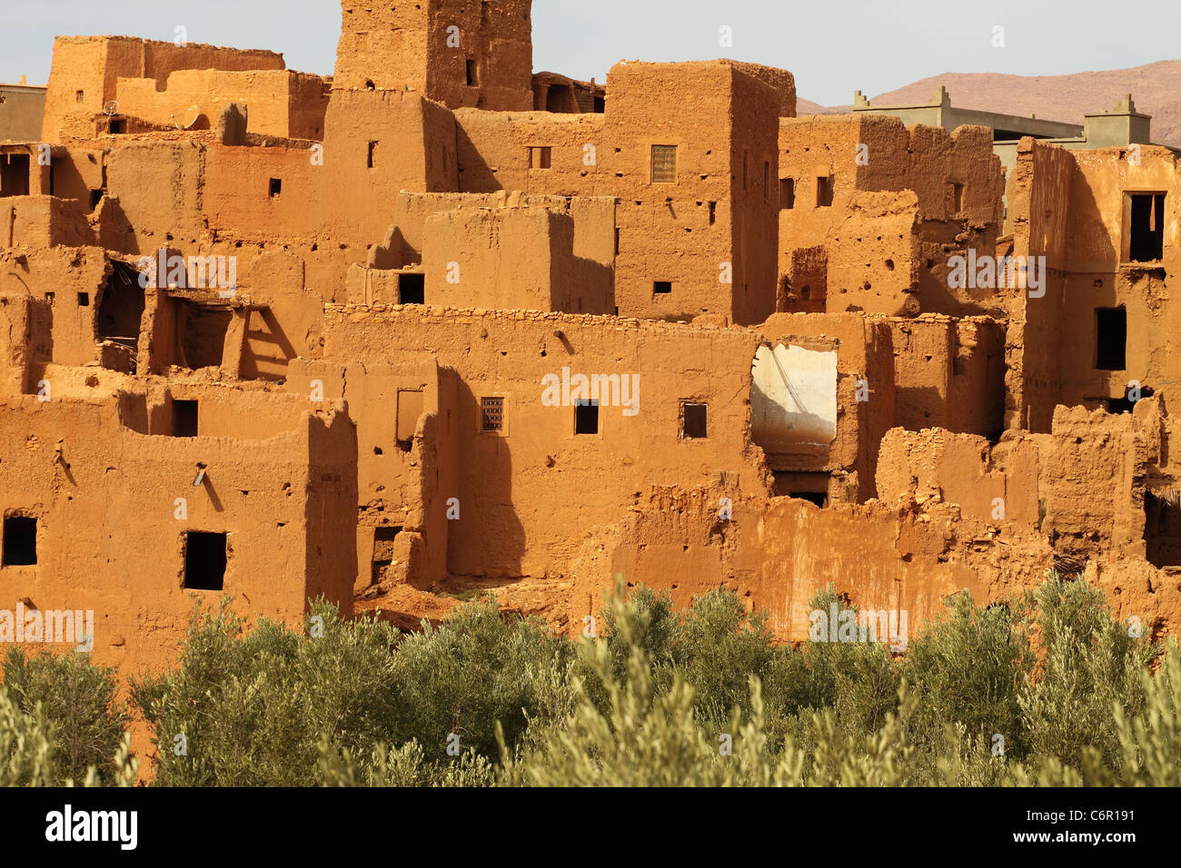 Oasis in Morocco Stock Photo - Alamy