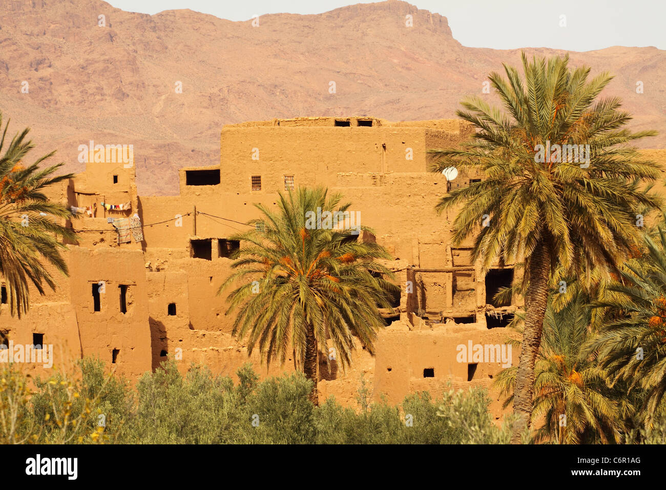 Oasis in Morocco Stock Photo - Alamy