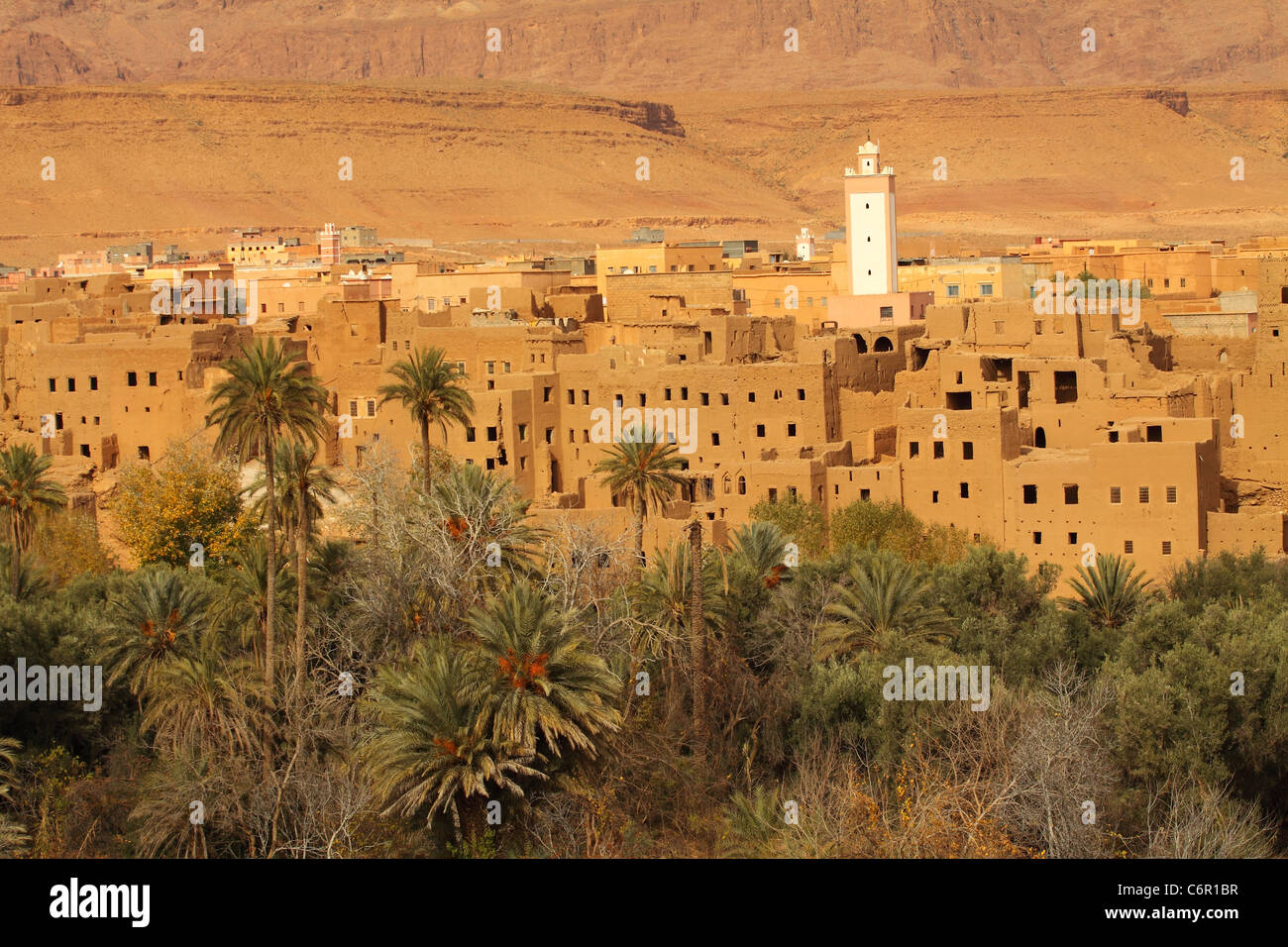 Oasis in Morocco Stock Photo - Alamy