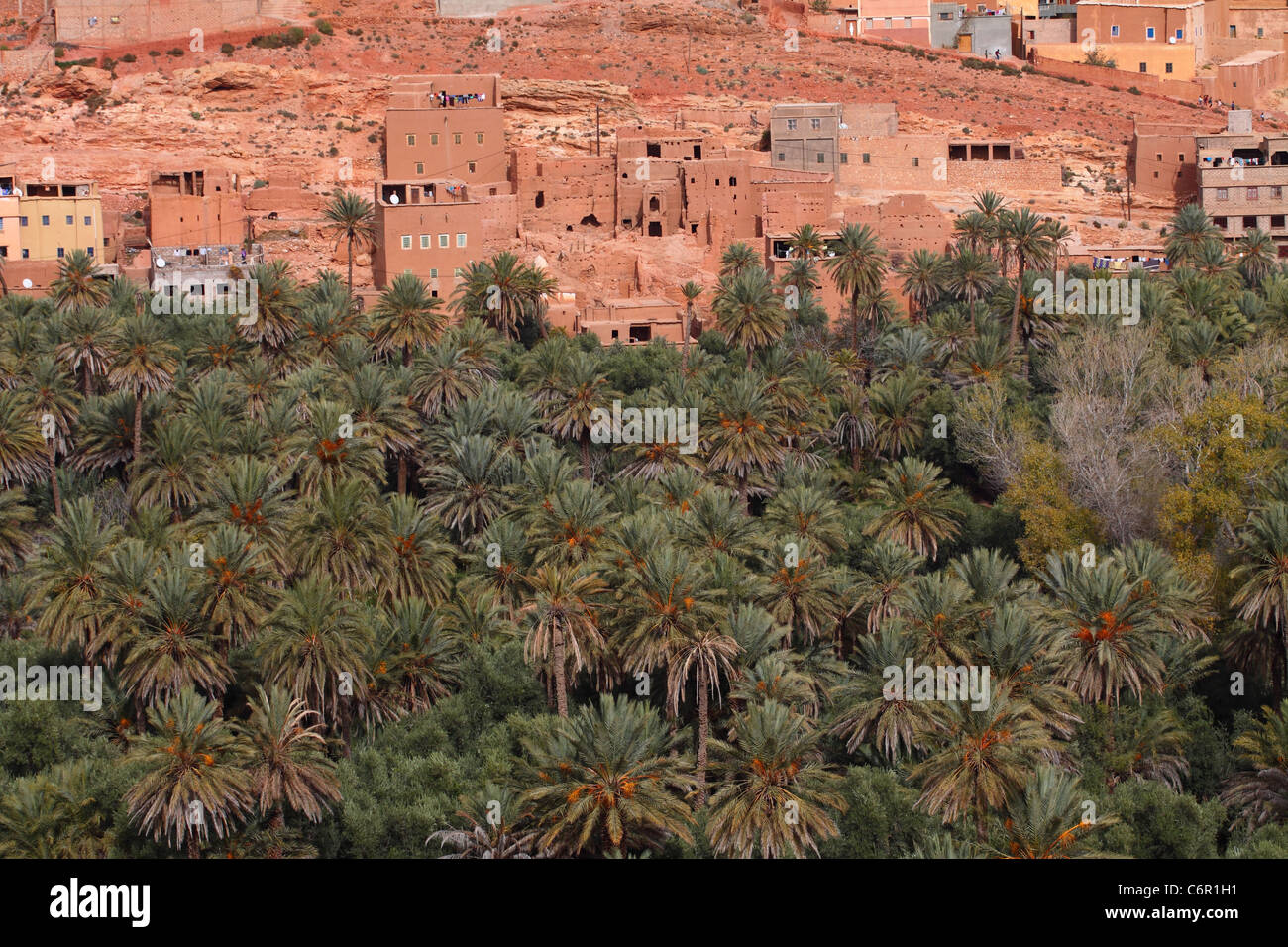 Oasis in Morocco Stock Photo - Alamy