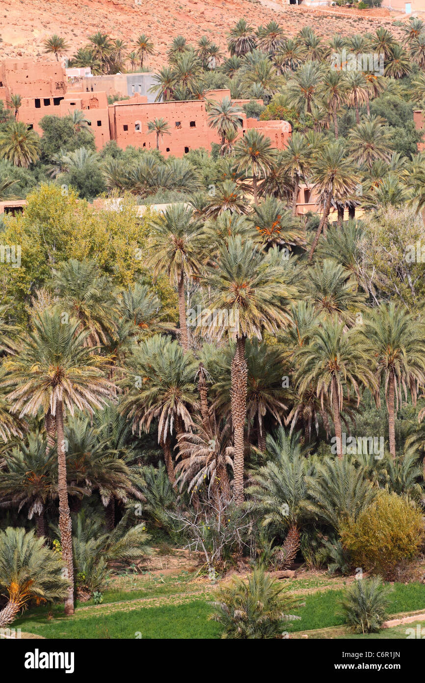 Oasis in Morocco Stock Photo - Alamy