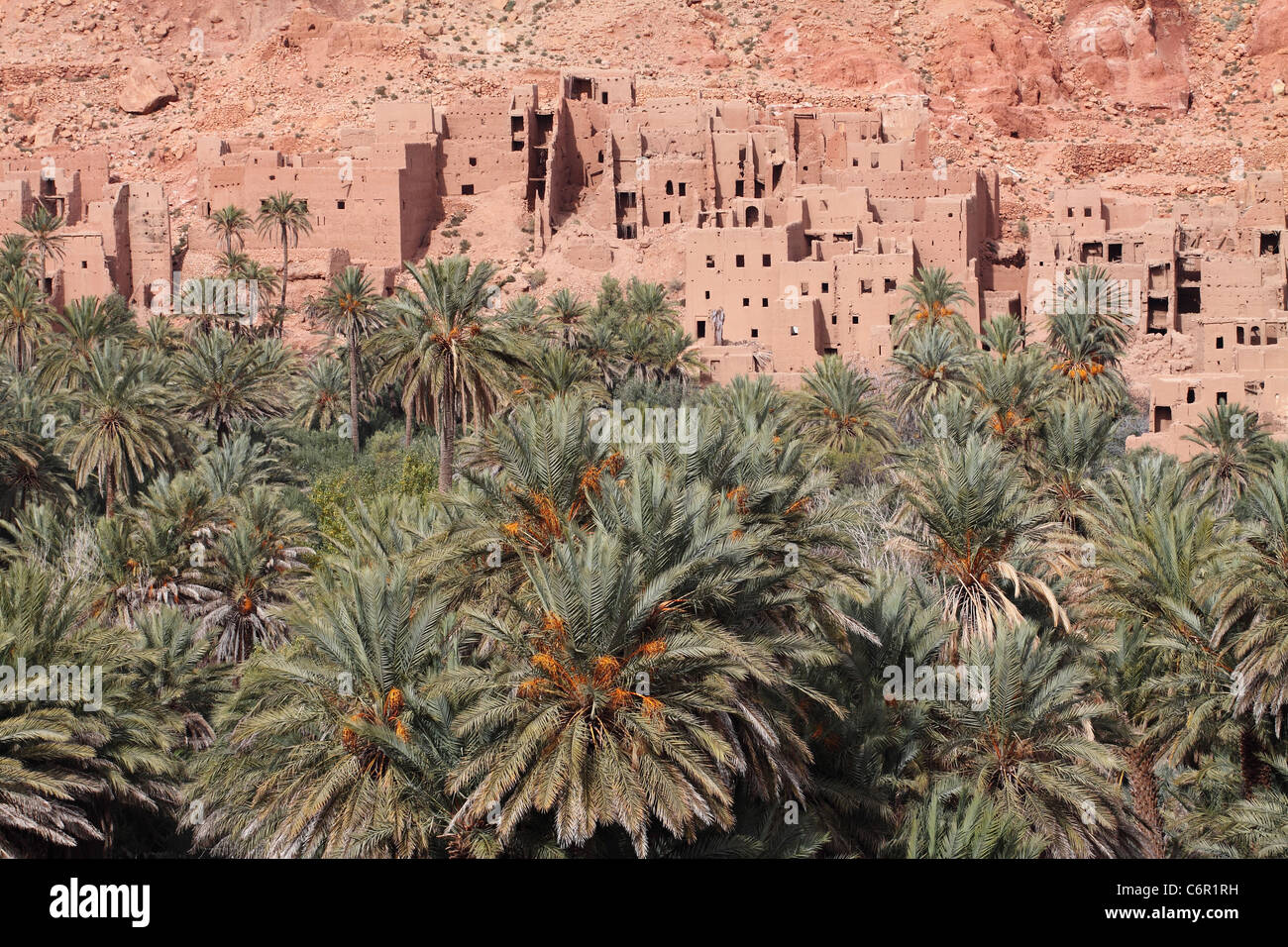 Oasis in Morocco Stock Photo - Alamy