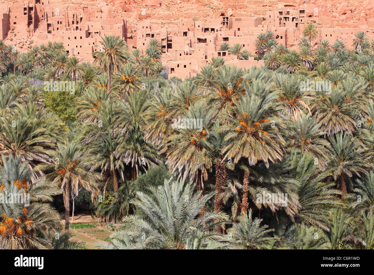 Oasis in Morocco Stock Photo - Alamy