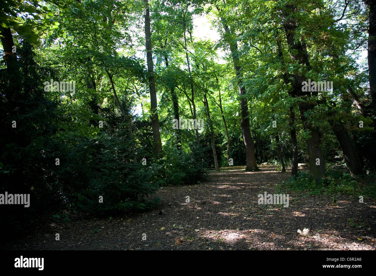 Parc Bertrand in Geneva Stock Photo - Alamy