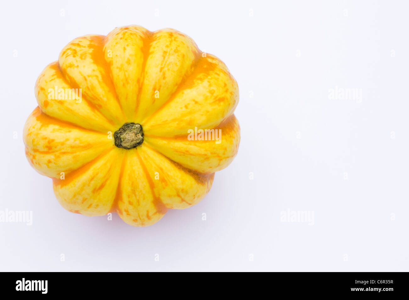 Cucurbita pepo squash hi-res stock photography and images - Alamy