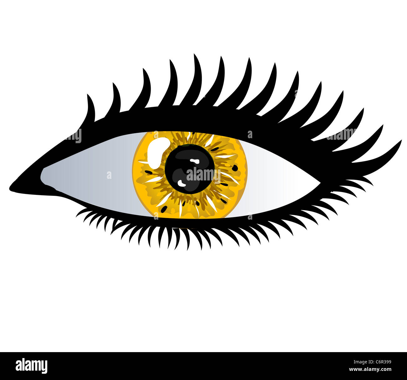 Yellow human eye Cut Out Stock Images & Pictures - Alamy