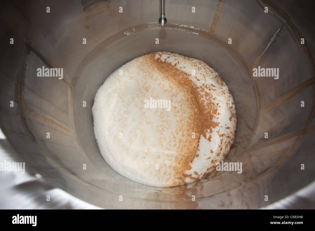 Beer fermentation hi-res stock photography and images - Alamy