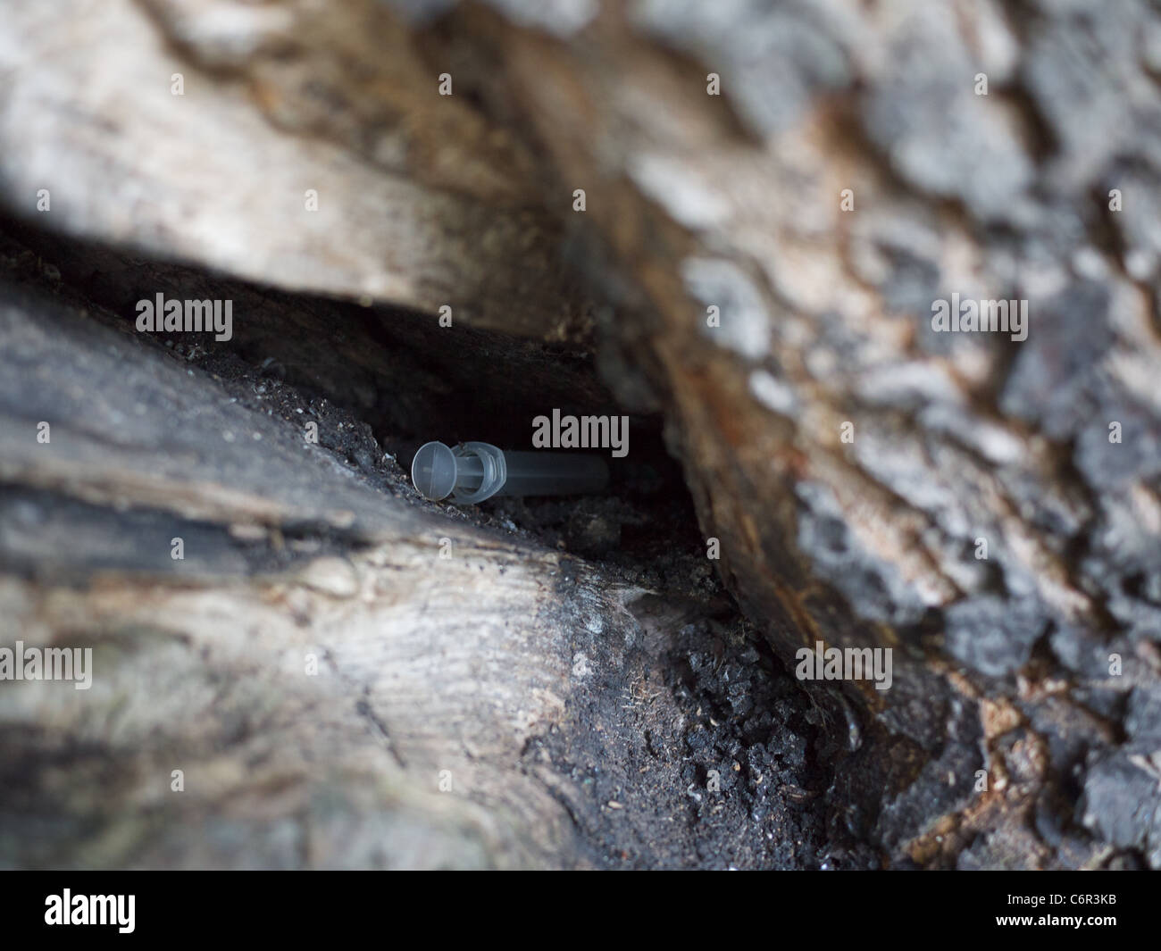 Junkie needle hi-res stock photography and images - Alamy