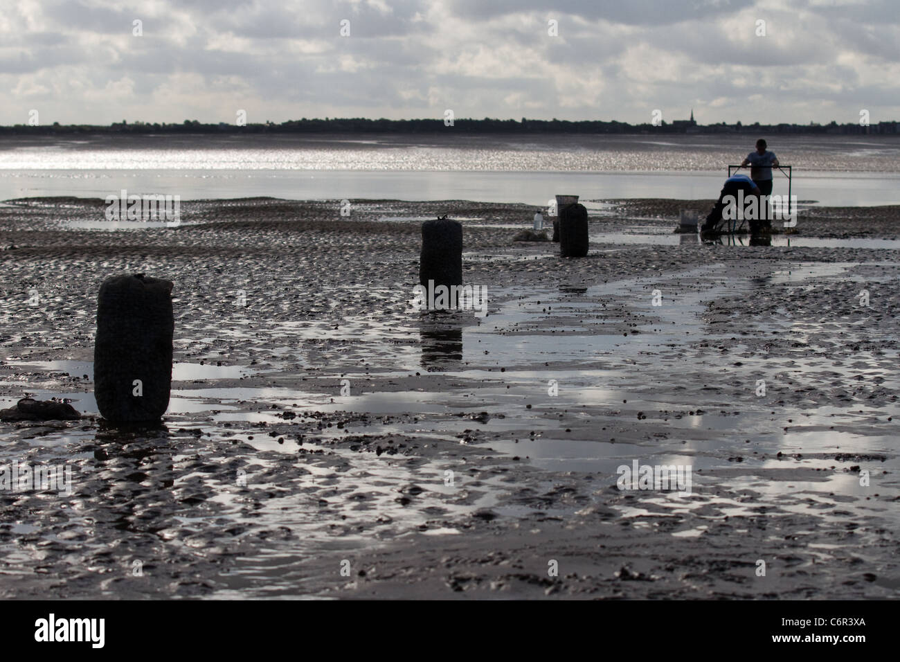Cockling hi-res stock photography and images - Alamy