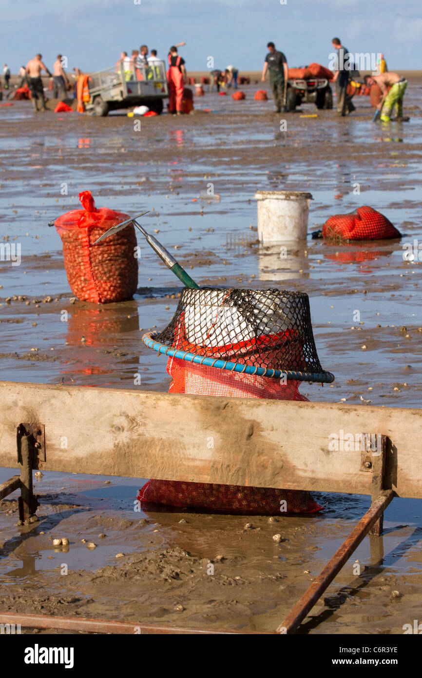 Raking Shores High Resolution Stock Photography and Images - Alamy