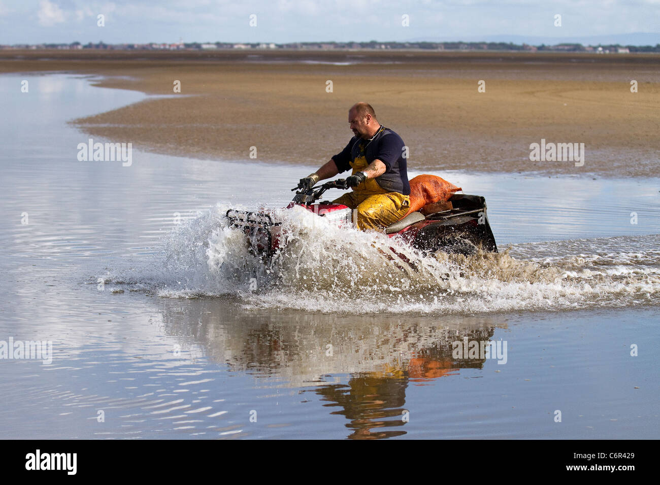 Groups of men Ribble Estuary Cockling at the opening of the Beach at ...