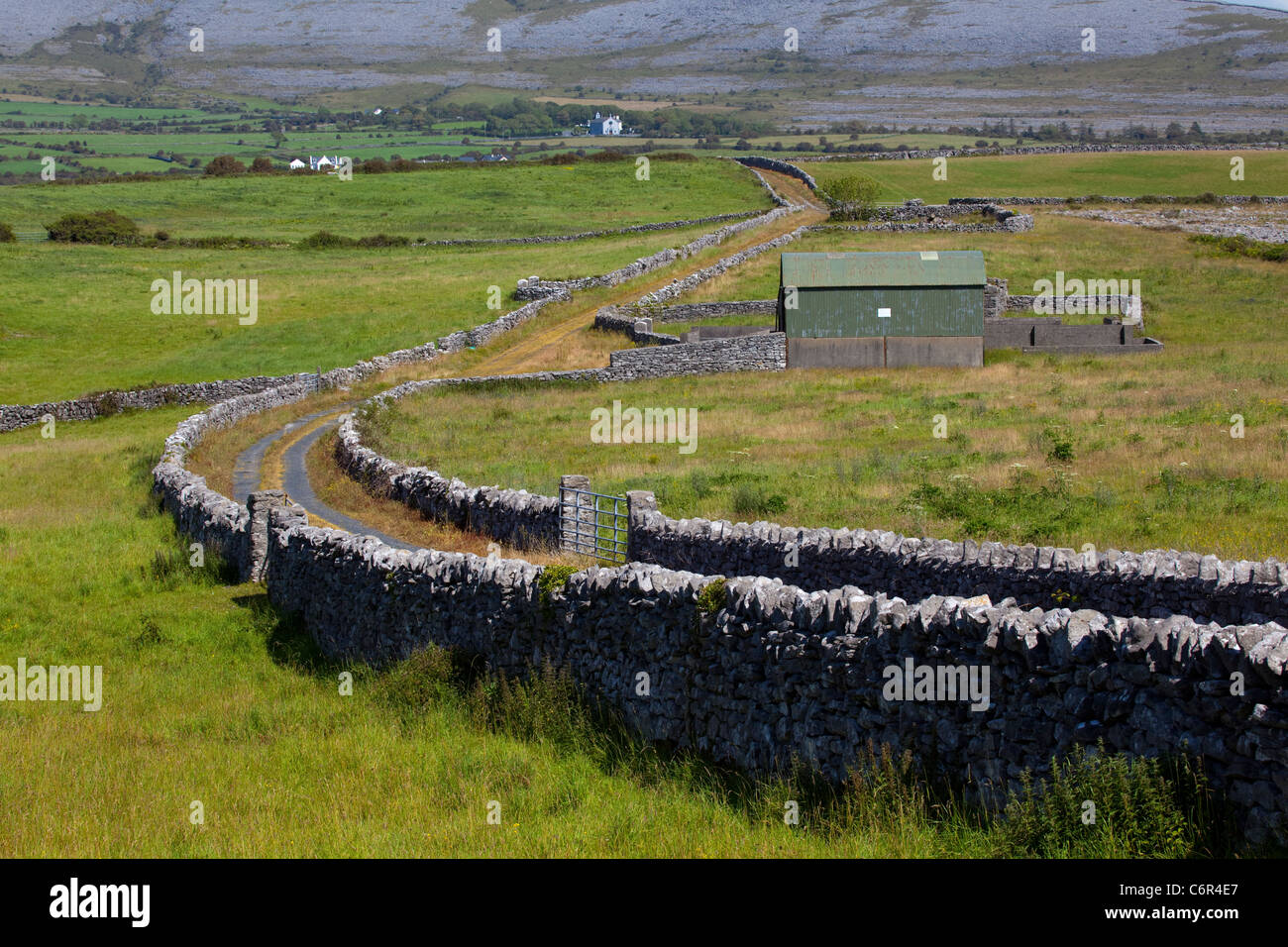 A dry stone walled farm lane leading towards the limestone hills near ...